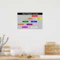 Real Number System Math Poster | Zazzle