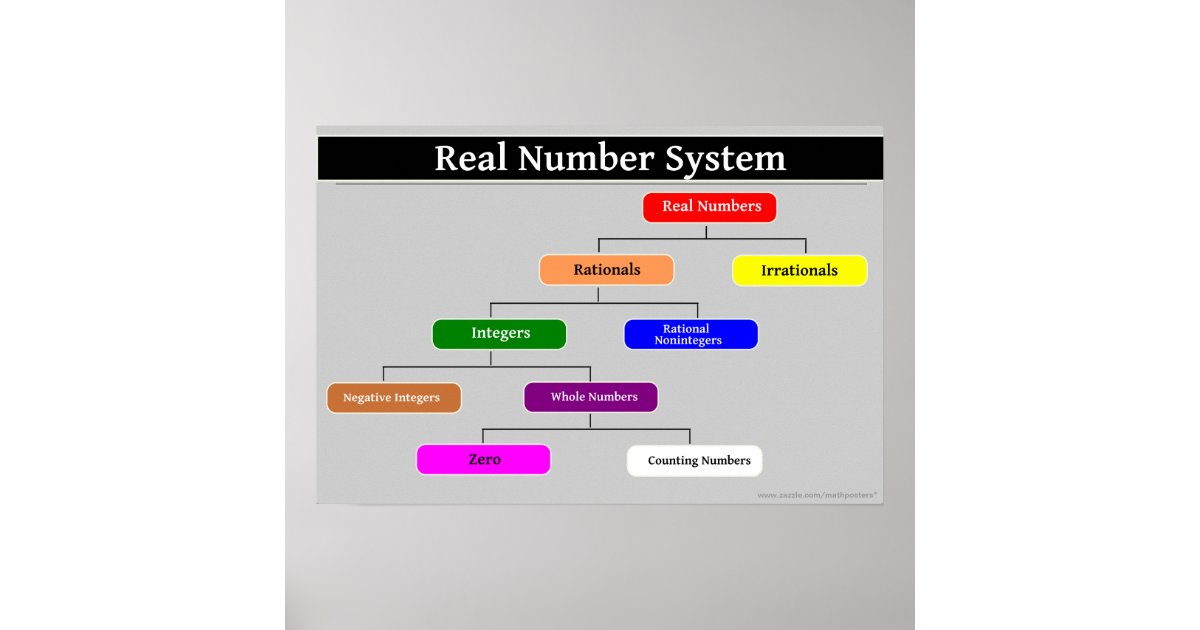Real Number System Poster