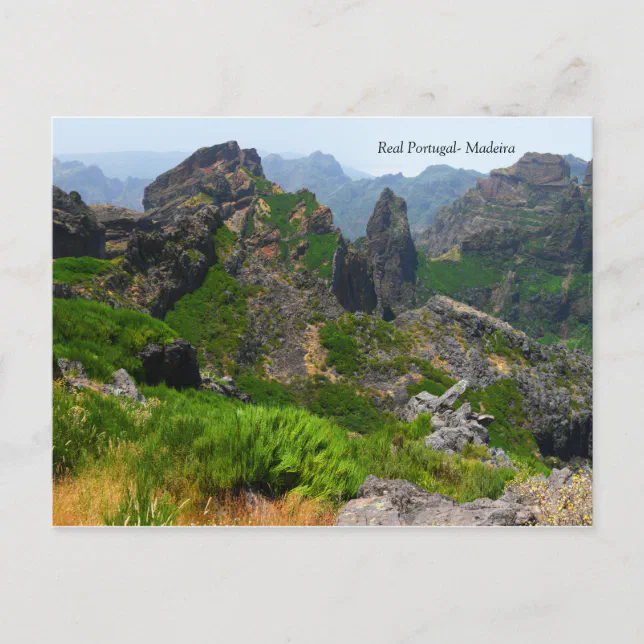 Real Portugal- Madeira Postcard | Zazzle