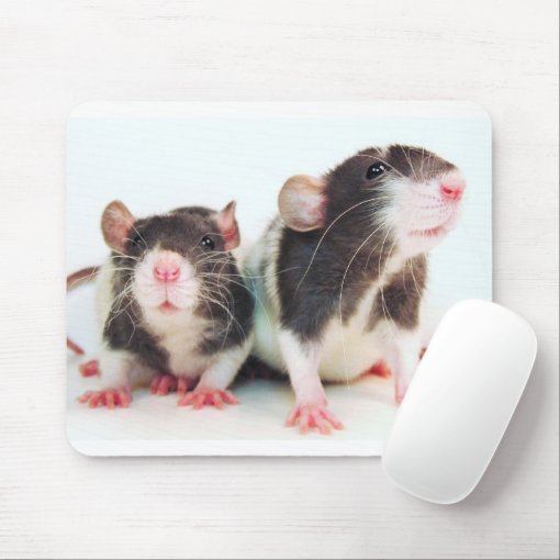 Real Women Own Rats! Mouse Pad | Zazzle