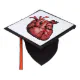Realistic Anatomical Heart Image Graduation Cap Topper | Zazzle