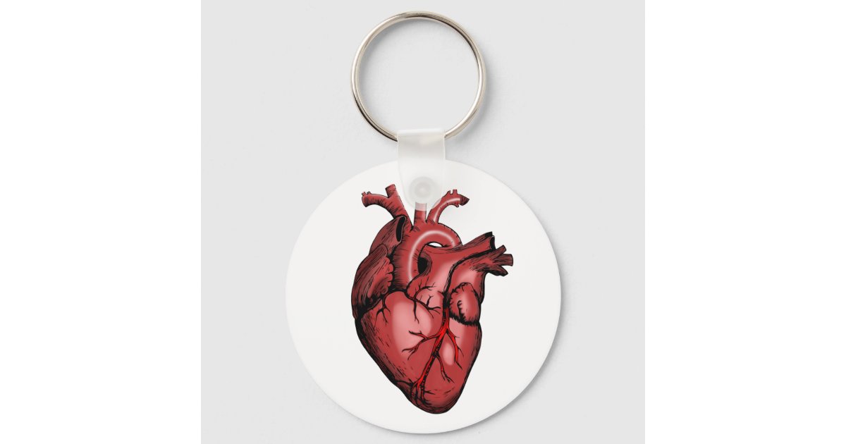 Realistic Anatomical Heart Image Keychain | Zazzle