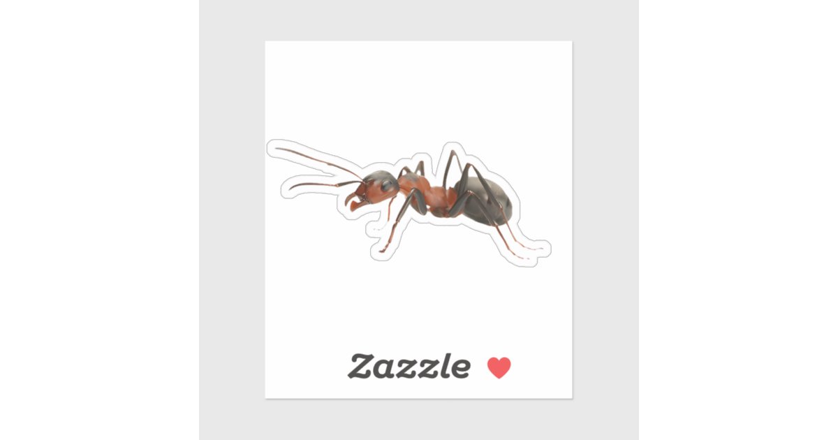 Realistic Ant Sticker | Zazzle