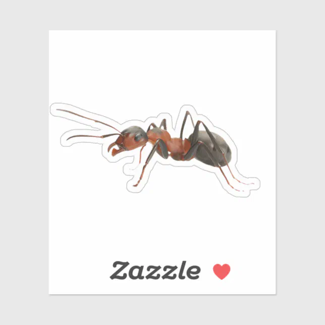Realistic Ant Sticker | Zazzle