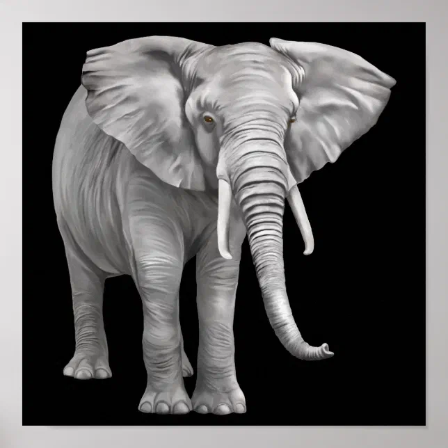 realistic Elephant background Poster | Zazzle