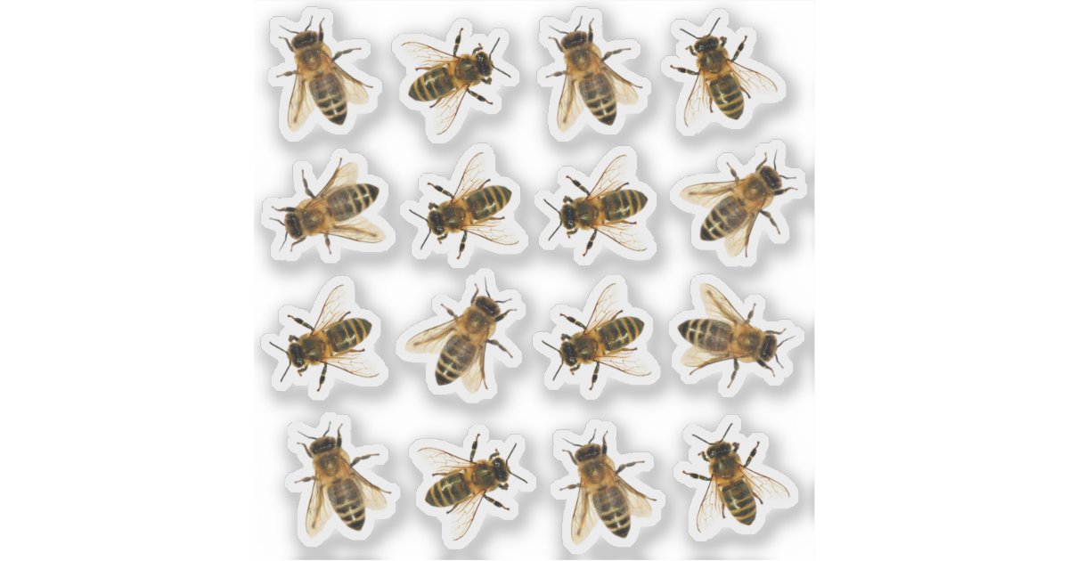 Realistic Honeybee Beekeeper Stickers | Zazzle