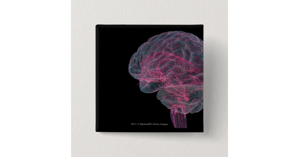 Rear view of the human brain pinback button | Zazzle