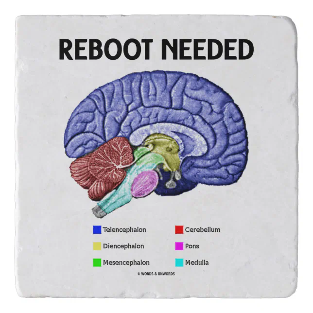 Reboot Needed Brain Anatomy Geek Humor Trivet | Zazzle