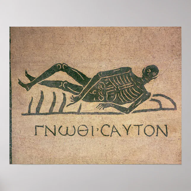 Reclining skeleton with the caption 'Know Poster | Zazzle