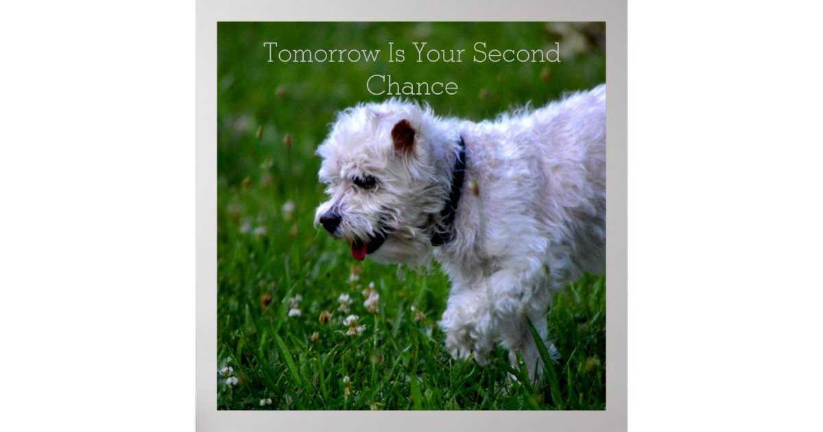 Recovery Tomorrow Poster | Zazzle