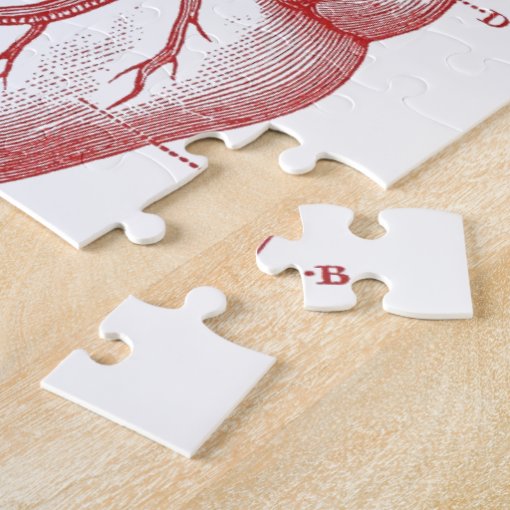 Red Anatomical Heart Jigsaw Puzzle | Zazzle