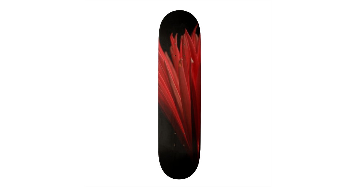 Red And Black Skateboard