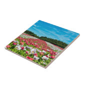Red and White Poppy Field Ceramic Tile | Zazzle