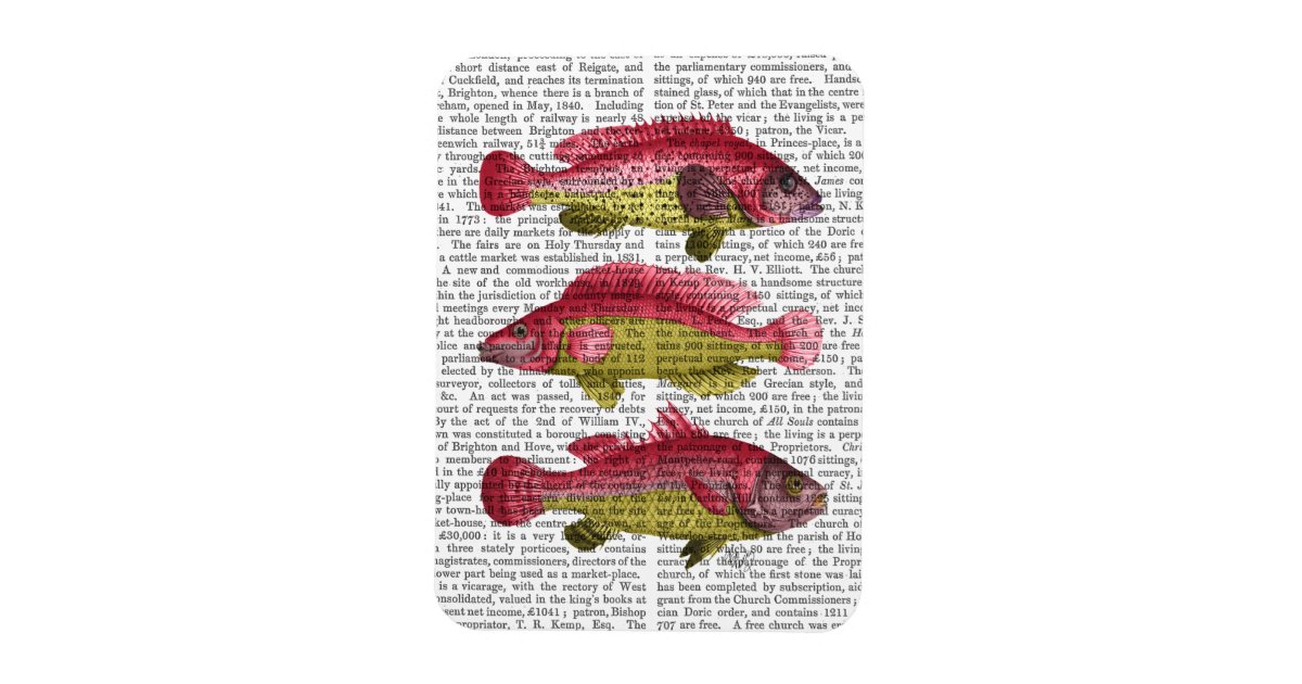 Red and Yellow Fantasy Fish Trio Magnet | Zazzle