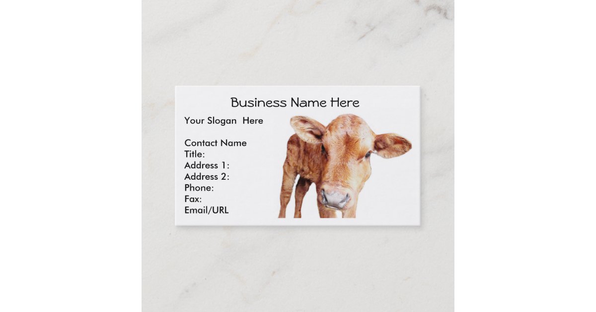 Red Angus Cow Business Card Template | Zazzle