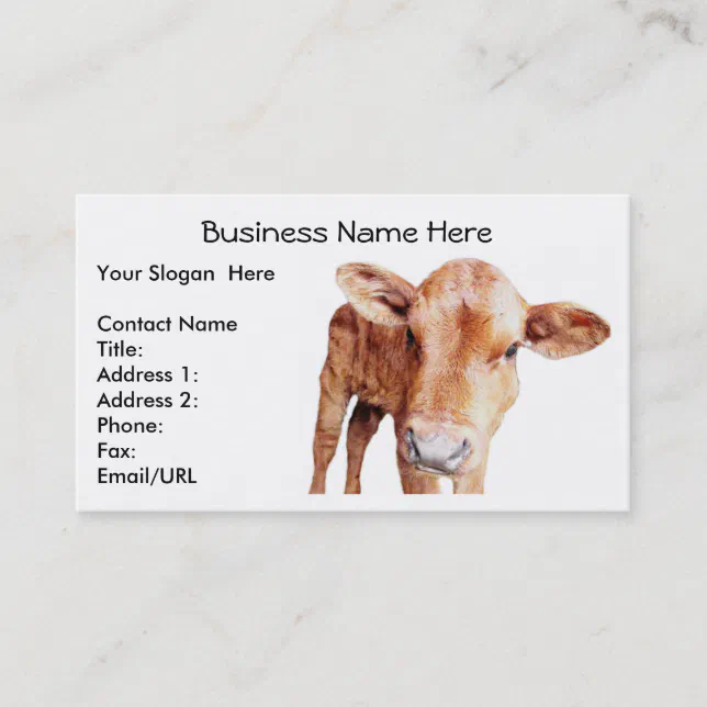Red Angus Cow Business Card Template | Zazzle