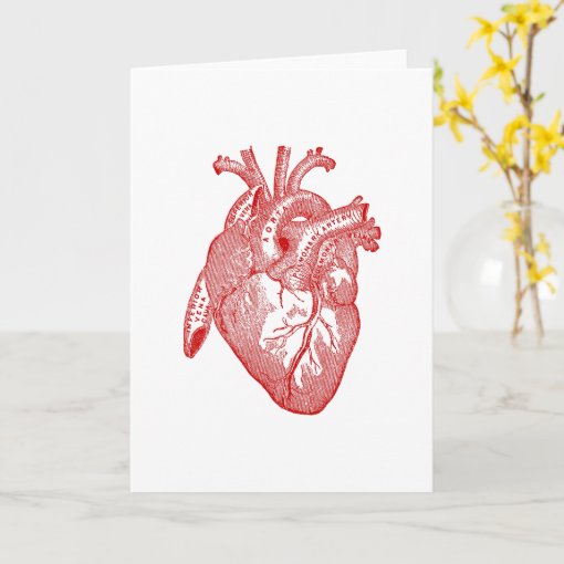 Red Antique Anatomical Heart Card | Zazzle