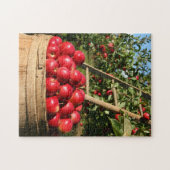 Red apple orchard harvest jigsaw puzzle | Zazzle