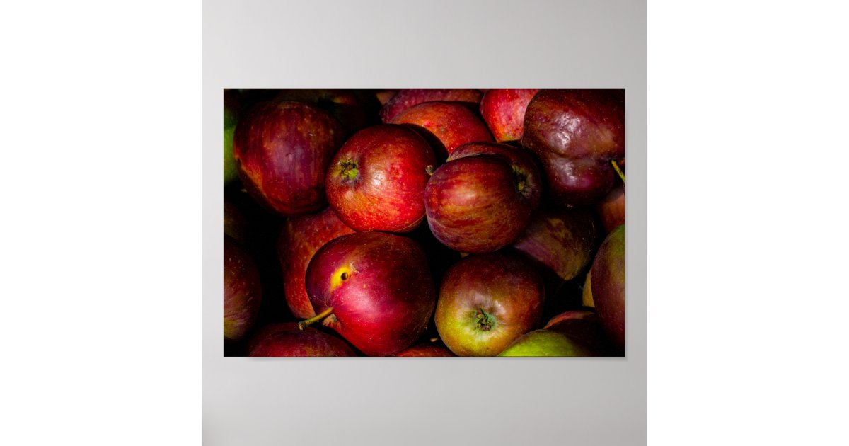 Red apple poster | Zazzle