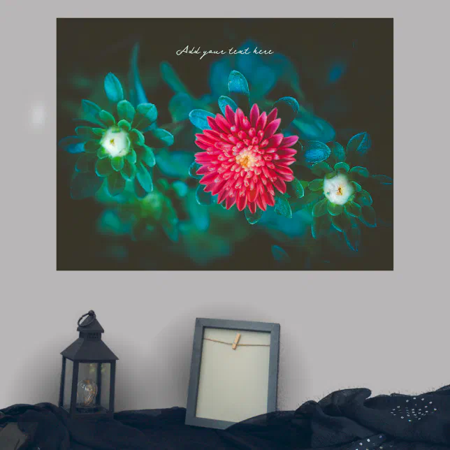 Red aster flower poster | Zazzle