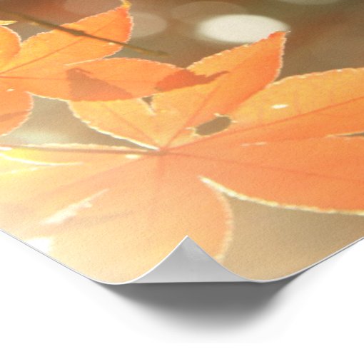 Red Autumn Maple leaves Poster | Zazzle
