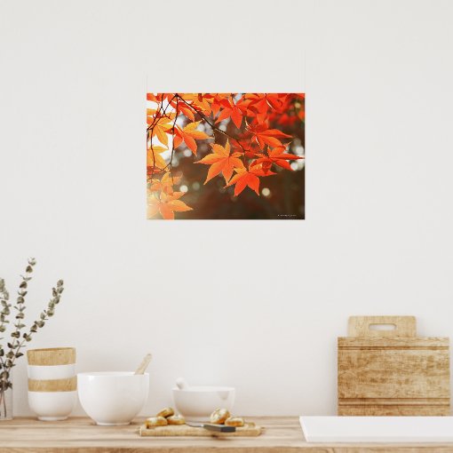 Red Autumn Maple leaves Poster | Zazzle