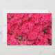 Red Azalea Flower Patch Invitation | Zazzle