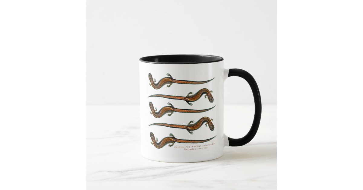 Red Backed Salamanders Mug | Zazzle