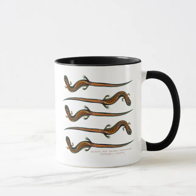Red Backed Salamanders Mug | Zazzle