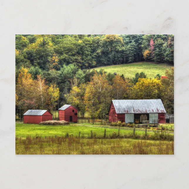 Red Barns Autumn Fall Virginia Countryside Postcard | Zazzle