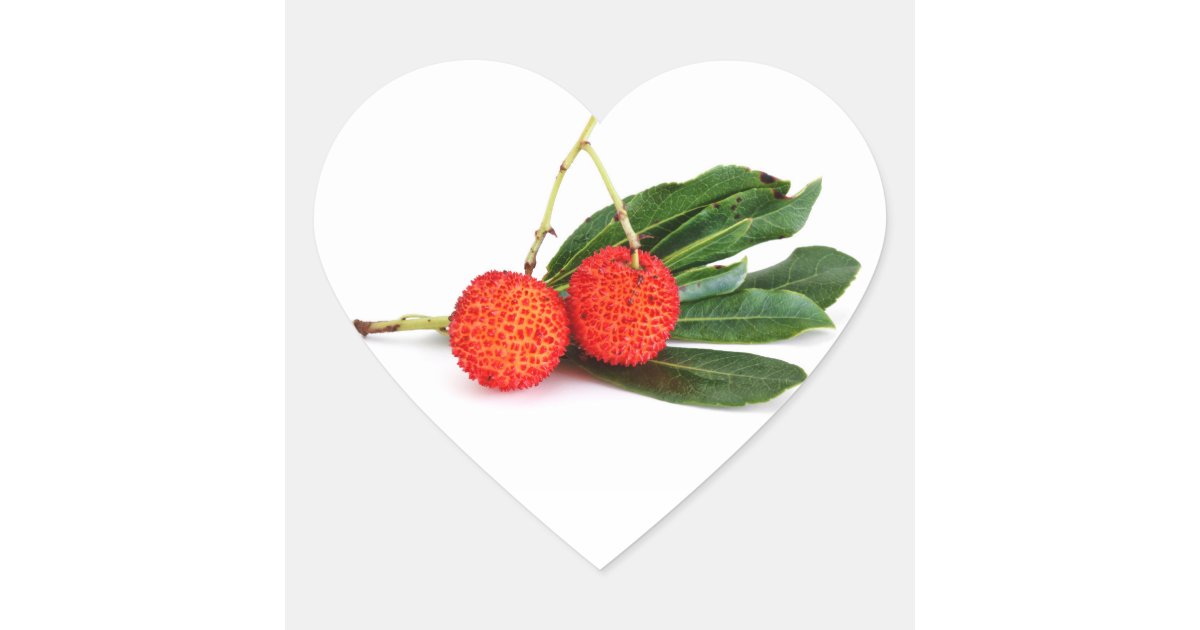 red bayberry heart sticker | Zazzle