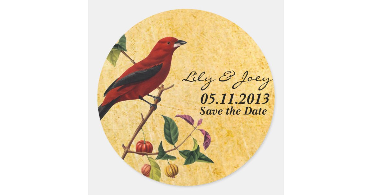 Red Bird Classic Round Sticker | Zazzle