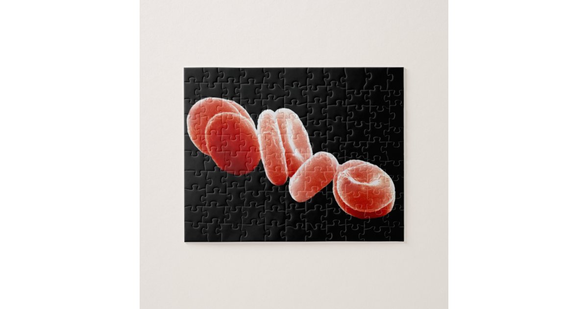 Red Blood Cells Jigsaw Puzzle | Zazzle