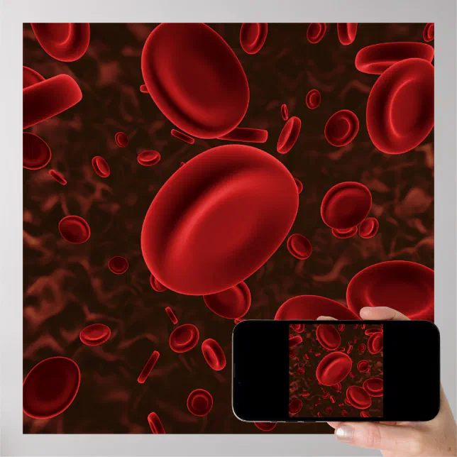 Red Blood Cells Poster | Zazzle