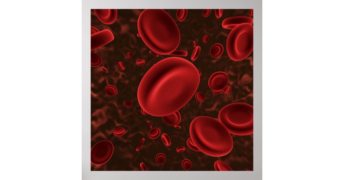 Red Blood Cells Poster | Zazzle