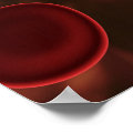 Red Blood Cells Poster | Zazzle