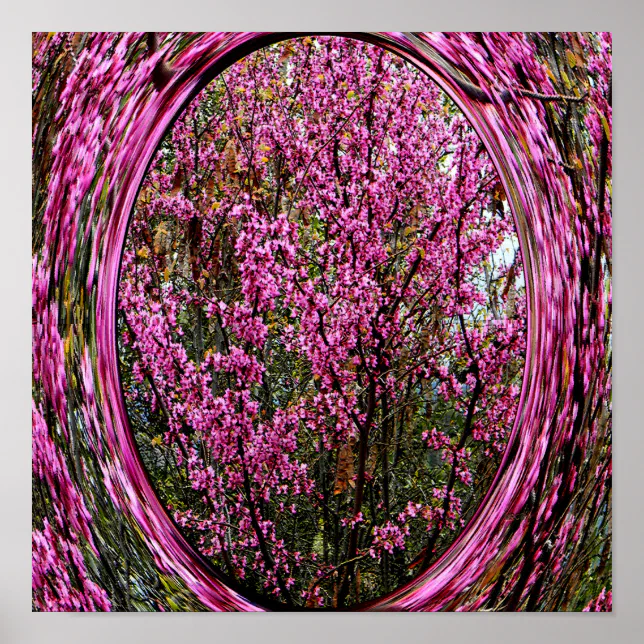 Red Bud tree.... Poster | Zazzle