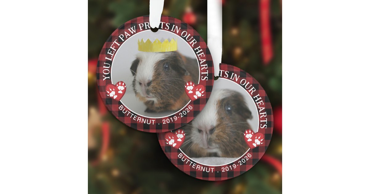 Red Buffalo Check Paws Guinea Pig Memorial Photo Ornament | Zazzle
