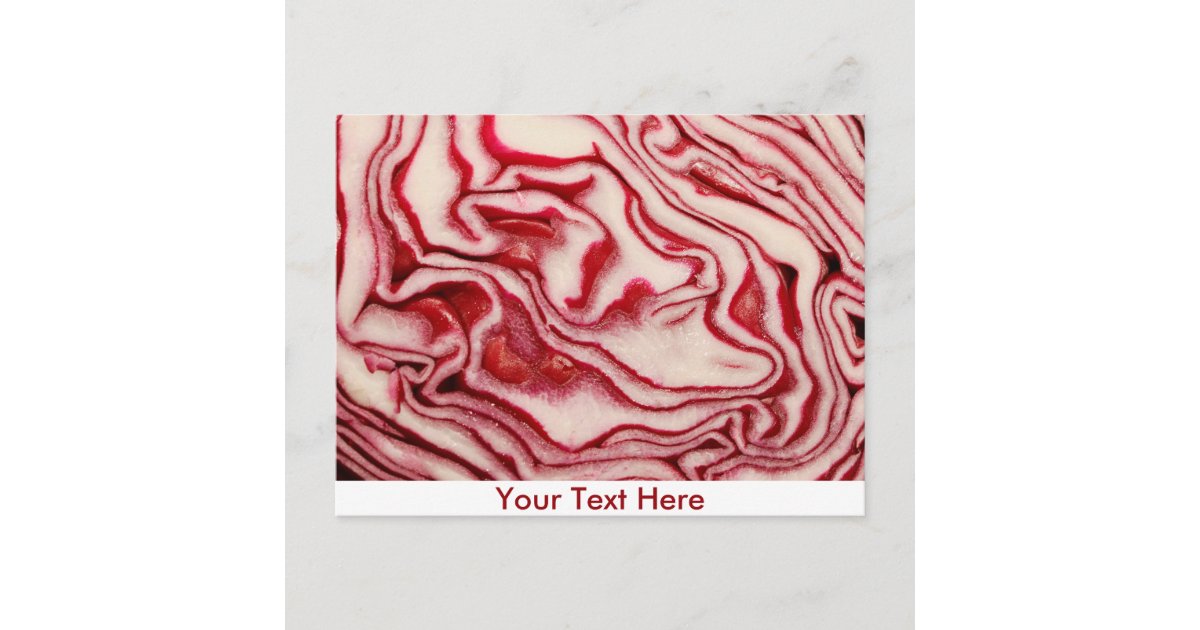 Red cabbage postcard | Zazzle