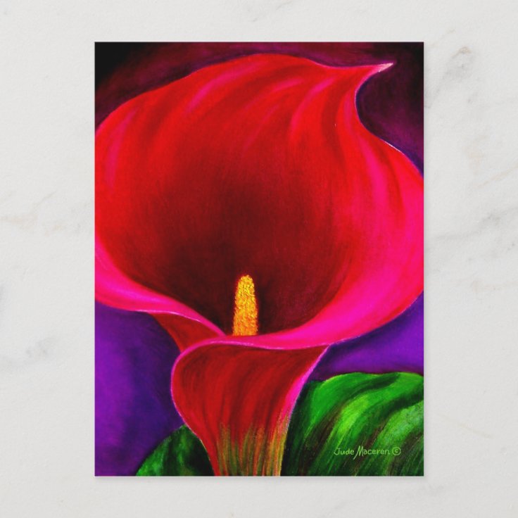Red Cala Lily Flower Painting Art - Multi Postcard | Zazzle