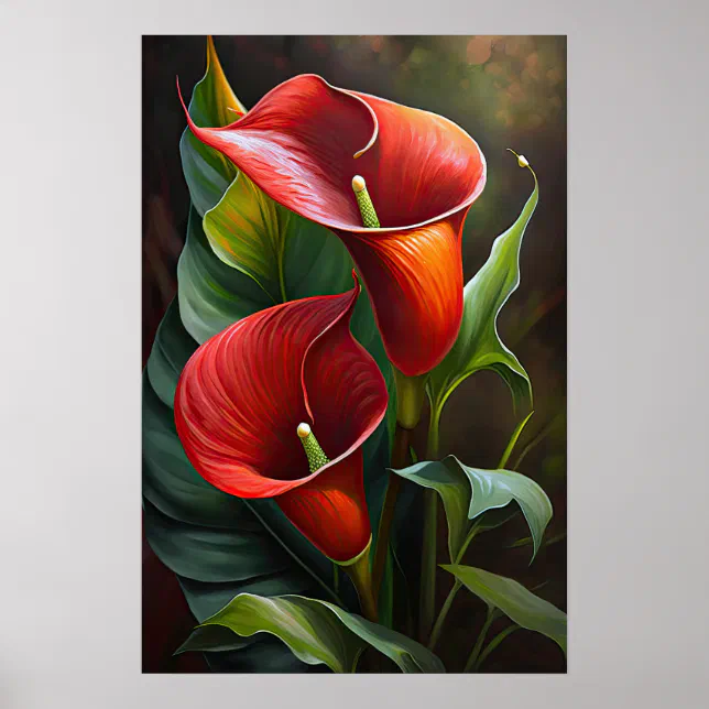Red Calla Lilies Lily Flower Art Print Poster | Zazzle