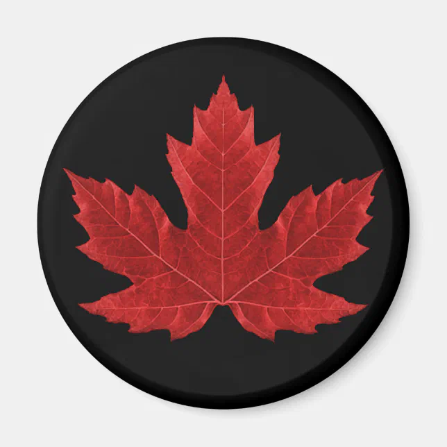 Red Canadian Maple Leaf Magnet | Zazzle