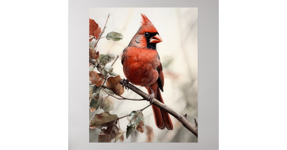 Red Cardinal Bird Art Print Poster | Zazzle