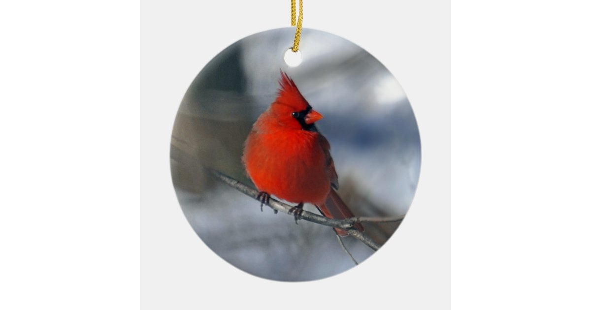 Red Cardinal Bird Ceramic Ornament | Zazzle