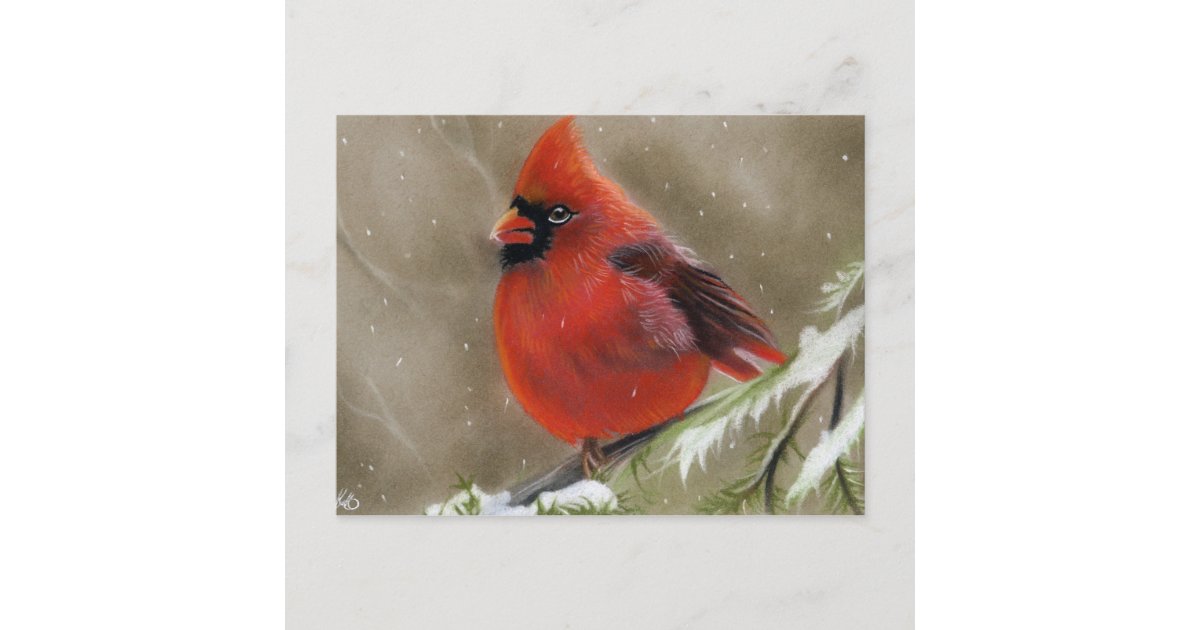 Red Cardinal Bird christmas Postcard | Zazzle