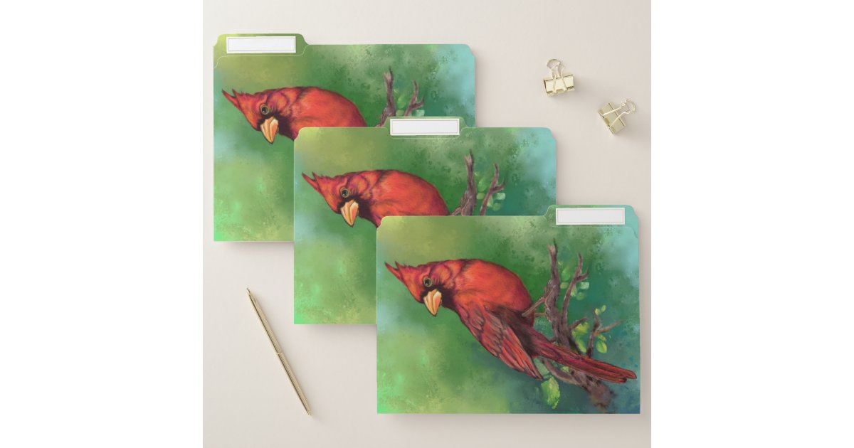 Red Cardinal Bird File Folder | Zazzle