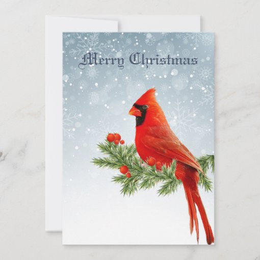 Red Cardinal Bird Merry Christmas greeting Holiday Card | Zazzle