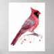 Red Cardinal Bird Poster | Zazzle