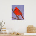 Red Cardinal Bird Poster | Zazzle