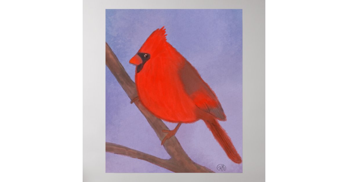 Red Cardinal Bird Poster | Zazzle